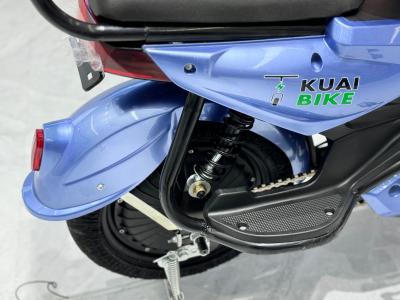 Cina L1-B 350W Bicicletta elettrica in vendita