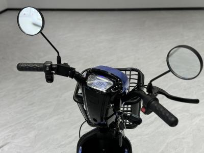 Cina L1-B 350W Bicicletta elettrica in vendita