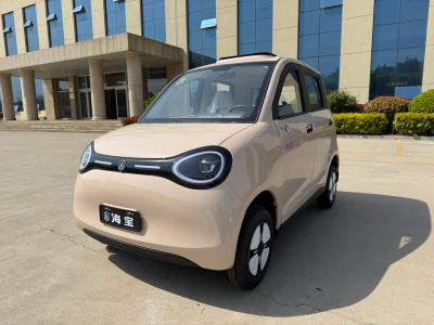 Cina Linglong 3000WD/5000WD Nuovo veicolo elettrico a quattro ruote a quattro posti a cinque porte in vendita