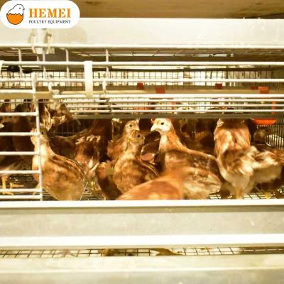 China Pullet Cage Equipment for sale