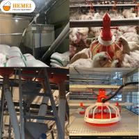 China Feeding System for Automatic Harvesting Broiler Cage for sale