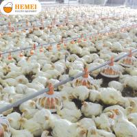 China Floor Type Broiler Equipment for sale
