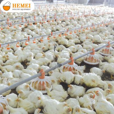 China Floor Type Broiler Equipment for sale