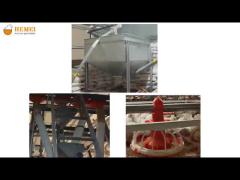 Automatic cage feeding system