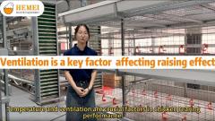 Ventilation is a key factor affecting raising effect