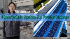 Photovoltaic system for poultry houses