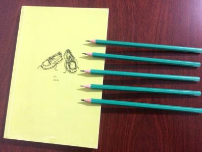China High Quality and Good Reputation HB Plastic Pencil for school and office for sale