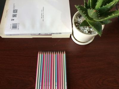China Colored body plastic pencil in HB hardness for sale