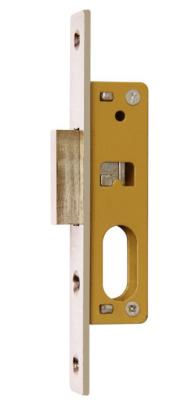 Cina Serratura di porta in alluminio montata in superficie in vendita