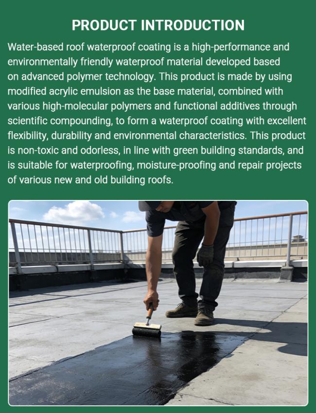 Waterproofing Coating Application Demonstration