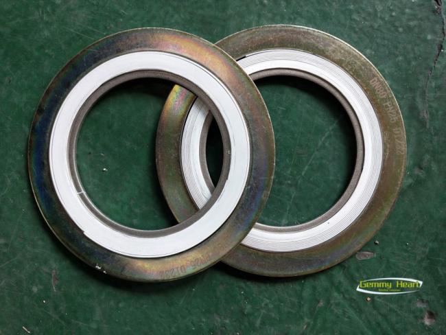 Flexible High Strength Graphite Metal 304, 316 Gasket for Aluminum Industry