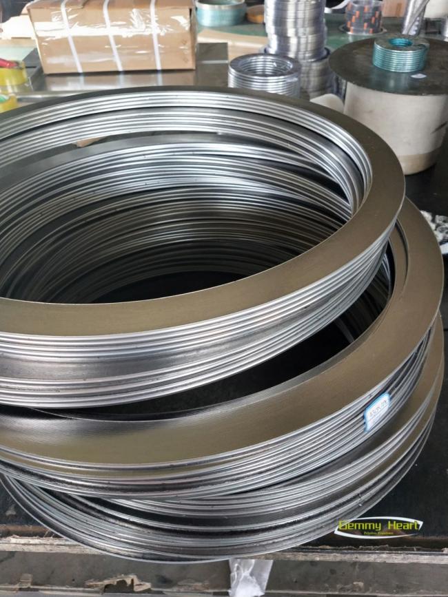 Spiral Wound Gasket Ss304 Graphite Gasket