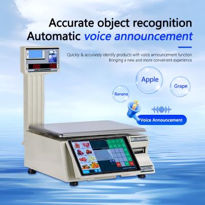Cina 15 kg di etichette touchscreen per la stampa Scala di pesatura con display LCD a LED e tipo di porta 1*RS232 in vendita
