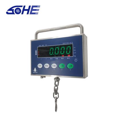 Cina Supporto OBM personalizzato 20kg Digital Display Hook Scale con display LCD LED portatile in vendita
