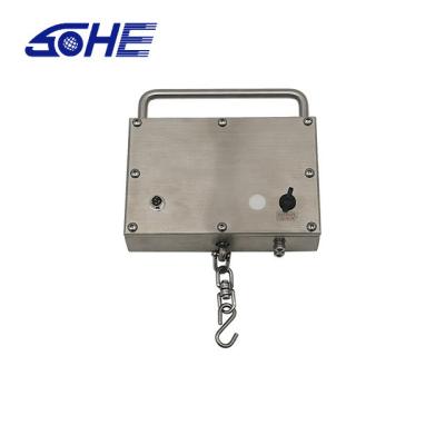 Cina Supporto OBM personalizzato 20kg Digital Display Hook Scale con display LCD LED portatile in vendita