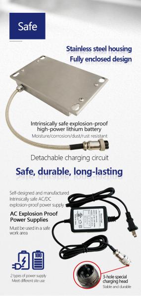 Quality SH8P 304 Series Stainless Steel 30-300KG Explosion-Proof Scale LED Display for sale