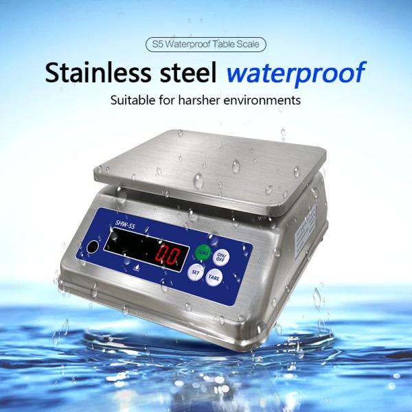 Quality All Stainless Steel Table Scale with Double Screen and IP68 Protection Level for sale