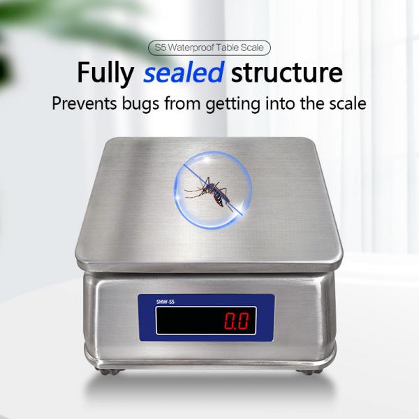 Quality All Stainless Steel Table Scale with Double Screen and IP68 Protection Level for sale
