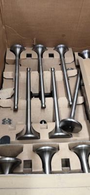 China DAIHATSU DC17 DAIHATSU DK20 DAIHATSU DK26 DAIHATSU DK28 DAIHATSU DKM28 ITAKE VALVE,EXHAUST VALVE,INLET VALVE for sale