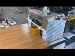 CJZD-400 High Grade Tea Bubble Bag Machine