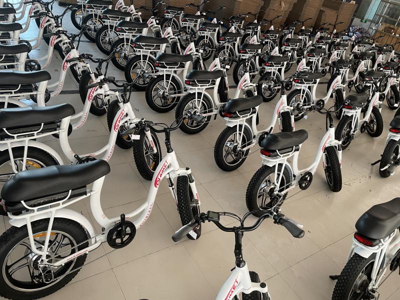 Проверенный китайский поставщик - Huzhou Thunder Electric Bike Co., Ltd.