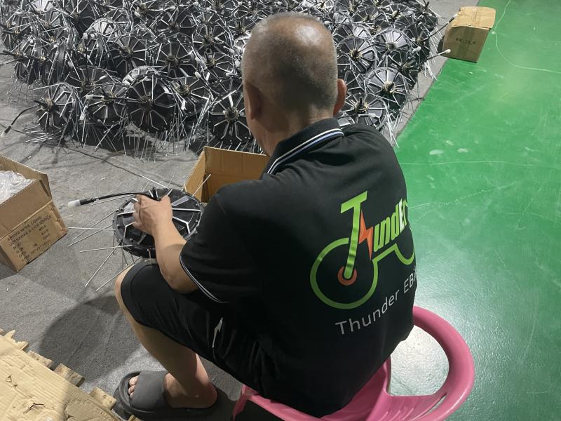 Проверенный китайский поставщик - Huzhou Thunder Electric Bike Co., Ltd.