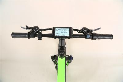 Cina Bianco 26