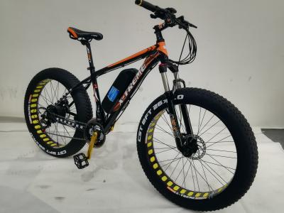 Cina 48V batteria al litio 26