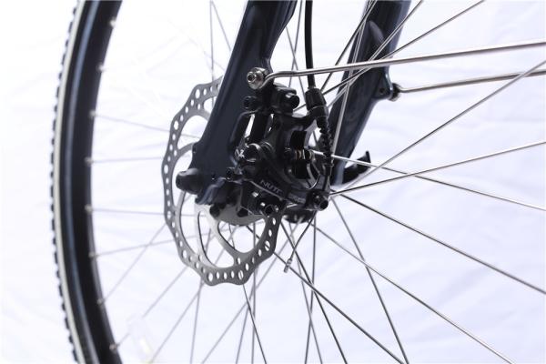 Quality 700C 28 Inch Classic City Electric Bike Dutch Lady Style 36V 250W Hub Motor for sale