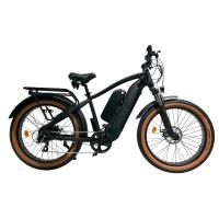 Quality Adult Electric Mountain Bike 26 Inch 48V 1000W Motor Lang Range Aluminium Alloy for sale