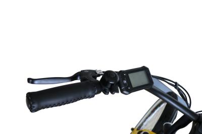 China 26 Inch 500W 48V Beach Cruiser Electric Bike With Double Disk Brakes And LCD Display for sale