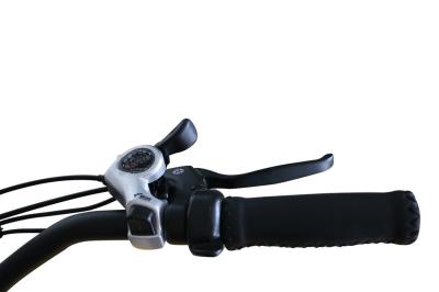 China 26 Inch 500W 48V Beach Cruiser Electric Bike With Double Disk Brakes And LCD Display for sale
