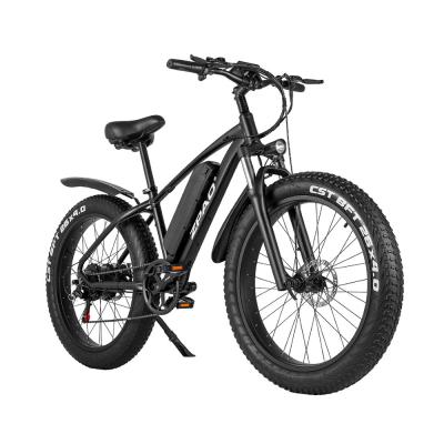 China High Power 26 Inch 48V 1000W Fat Tire Elektrische Fiets Met 14Ah - 17Ah Lithiumbatterie Te koop