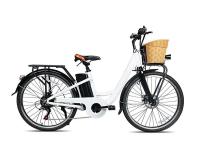 Quality 26 Inch 36V 250W Rear Hub Electric Bike With Front Disc Rear Disc Brake for sale