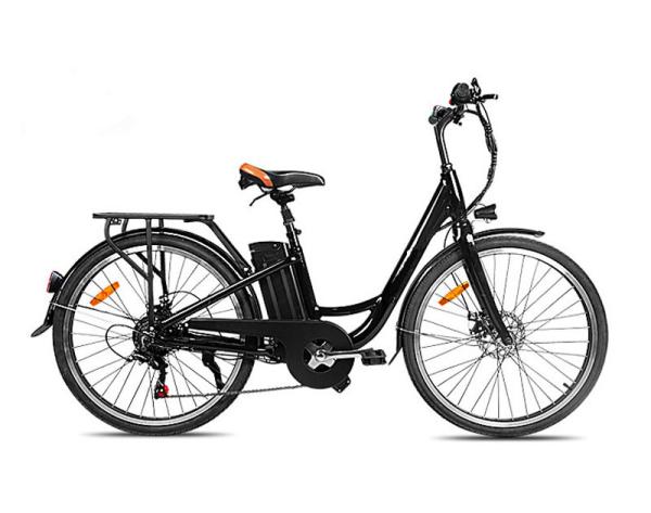 Quality 26 Inch 36V 250W Rear Hub Electric Bike With Front Disc Rear Disc Brake for sale