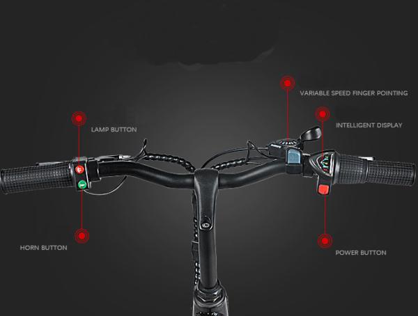 Quality 26 Inch 36V 250W Rear Hub Electric Bike With Front Disc Rear Disc Brake for sale