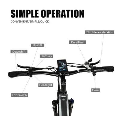 Cina Fat Tire Bici elettrici da montagna per adulti 26 pollici 750W Motore 17Ah batteria al litio in vendita
