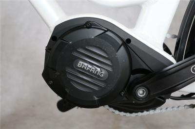 Cina 36V 26 Inch Mid Drive Motor Electric Bike Shimano Nexus Interno 3 velocità marcia in vendita