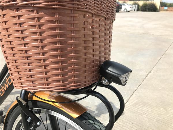 Quality 36V 250W Electric Folding Bike 26 Inch With 10AH Lithium Battery for sale