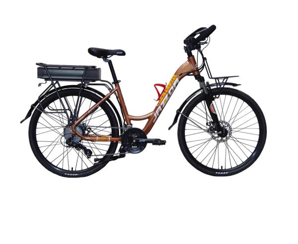 Quality 24 Speed Luxury Electric Bicycle 250W 26 Inch E Bike With 48V Lithium Battery for sale