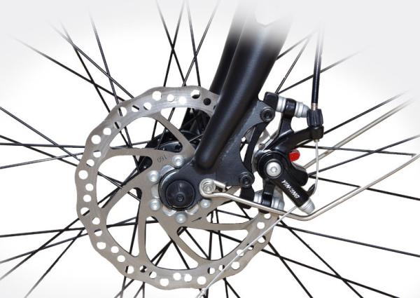 Quality 24 Speed Luxury Electric Bicycle 250W 26 Inch E Bike With 48V Lithium Battery for sale
