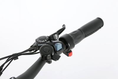 Cina Bicicletta stradale elettrica a freno a disco 250W E Bike con batteria nascosta CE EN15194 Omologata in vendita