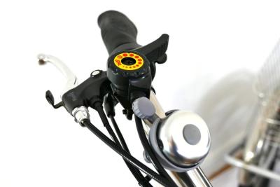 Cina Perfetto per il triciclo elettrico giornaliero 250W 3 biciclette a ruote con cesto EB01 20 