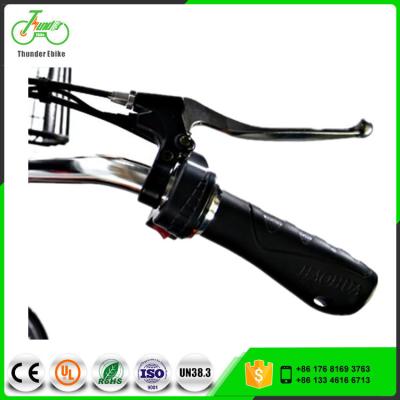 Cina Triciclo elettrico da 48 volt nero per adulti per disabili Doppio freno a disco posteriore in vendita