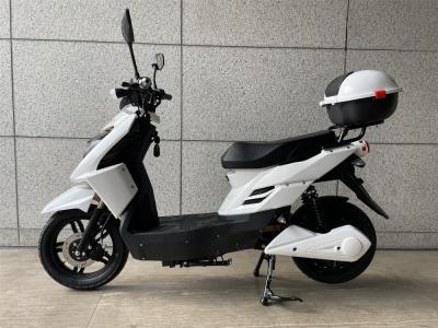 Chine Moteur électrique à deux roues pour adultes TT 48V 20Ah batterie au lithium scooter électrique à vendre