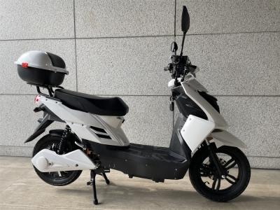 Chine Moteur électrique à deux roues pour adultes TT 48V 20Ah batterie au lithium scooter électrique à vendre