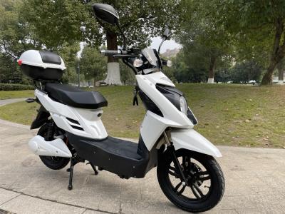 Chine Moteur électrique à deux roues pour adultes TT 48V 20Ah batterie au lithium scooter électrique à vendre