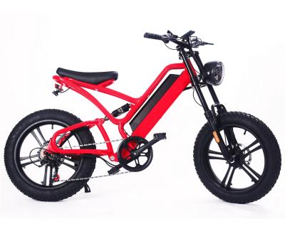 China 1000W 20 Inch Electric Fat Tire Bike 48V 16Ah Full Suspension Elektrische fiets Te koop