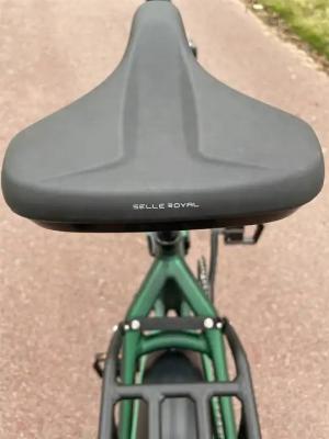 China 20 Inch Retro Folding Step Thru Electric Bike 48V 750W With LCD Display for sale