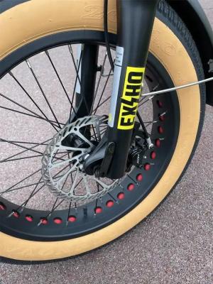 China 20 Inch Retro Folding Step Thru Electric Bike 48V 750W With LCD Display for sale